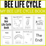 Easy Bee Life Cycle Learning Kit - Thrifty Mommas Tips